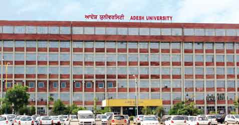 Adesh University Merit List 2025 | College Admission