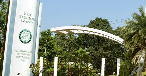 Dr. YSR Horticultural University Admission 2026, Merit List 2026 ...